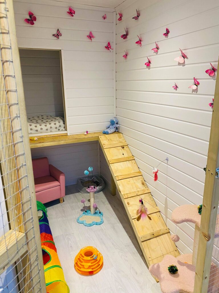 The Pussy Cat Hillton Luxury Cattery in Rainham